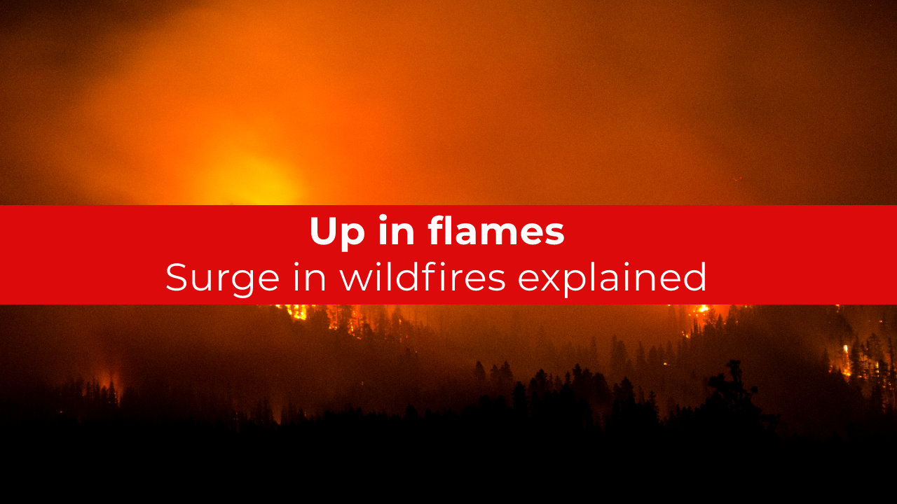 Up in flames: Surge in wildfires explained