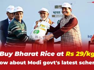 Buy Bharat Rice at Rs 29/kg : Know about Modi govt's latest scheme