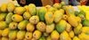 Mango Festival in Bhopal: भोपाल में मैंगो फेस्टिवल की धूम, जीआई टैग ...